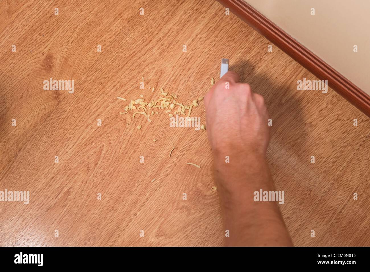 Food in mess on floor hi-res stock photography and images - Alamy
