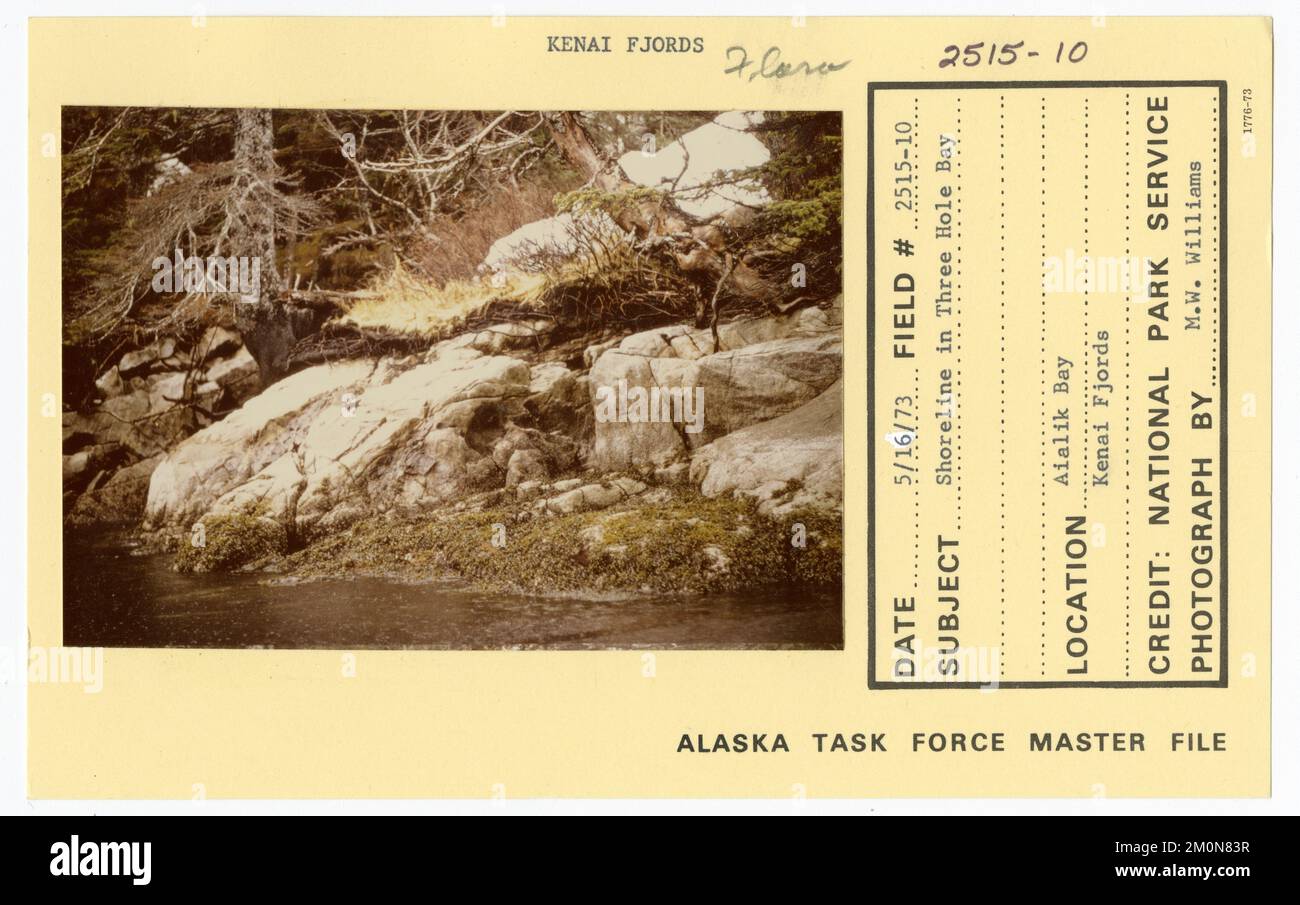 Shoreline in Three Hole Bay. Alaska Task Force Photographs Stock Photo ...