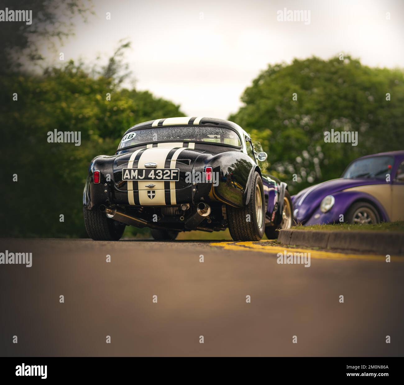 The view of a black AC Cobra sports car from behind Stock Photo - Alamy