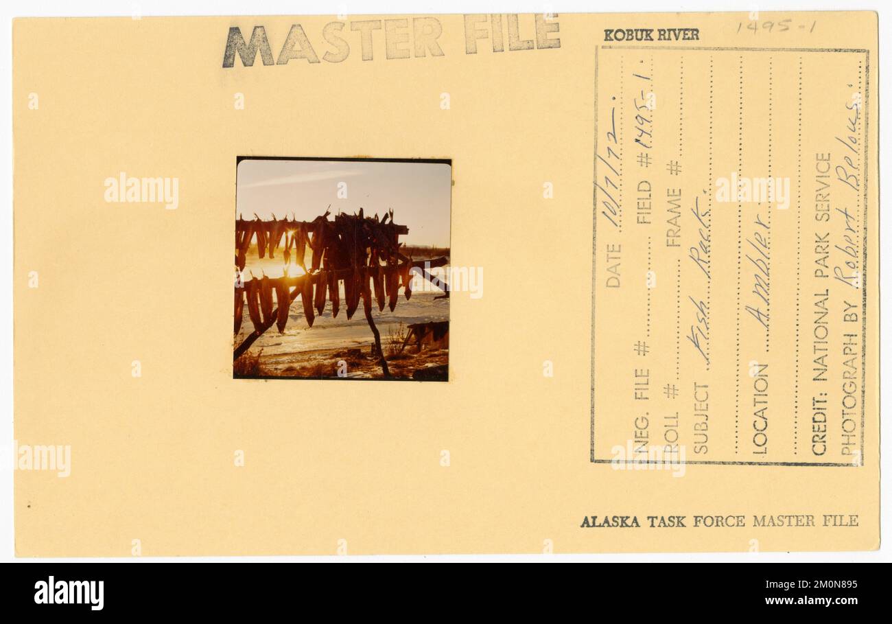 Fish rack. Alaska Task Force Photographs Stock Photo - Alamy