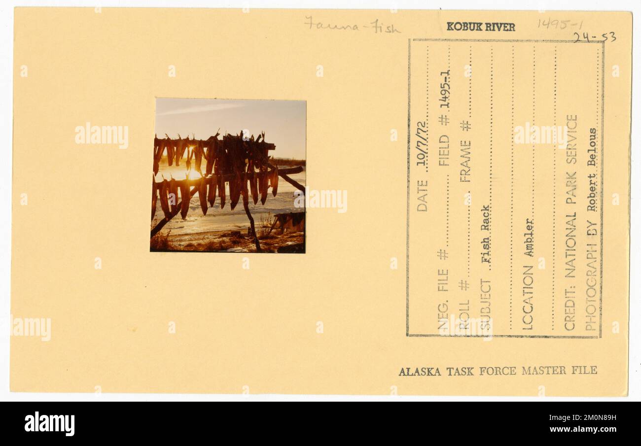 Fish rack. Alaska Task Force Photographs Stock Photo - Alamy