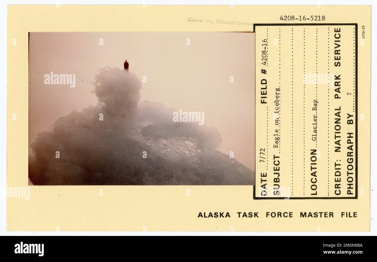 Eagle on iceberg. Alaska Task Force Photographs Stock Photo - Alamy