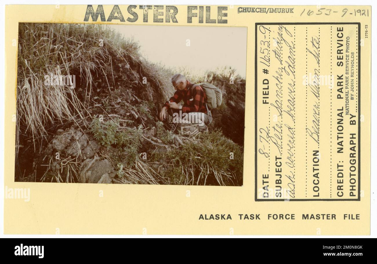 Pete Sanchez studying ash covered beaver dam. Alaska Task Force ...