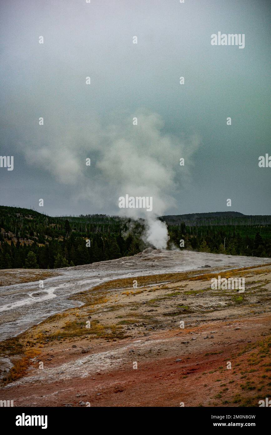 Old Faithful in Yellowstone National Park Stock Photo - Alamy