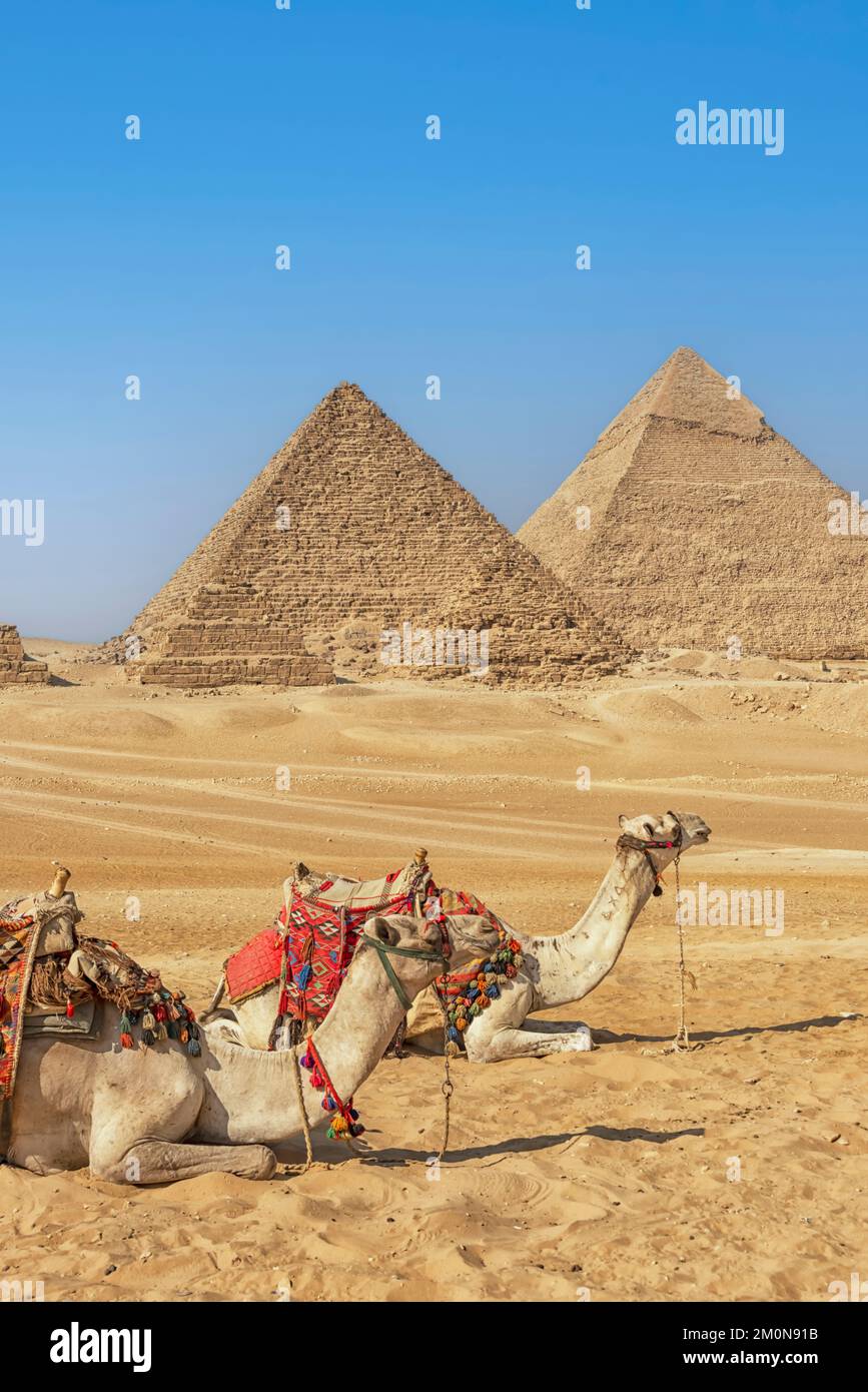 Egypt cairo pyramids pyramid giza hi-res stock photography and images ...