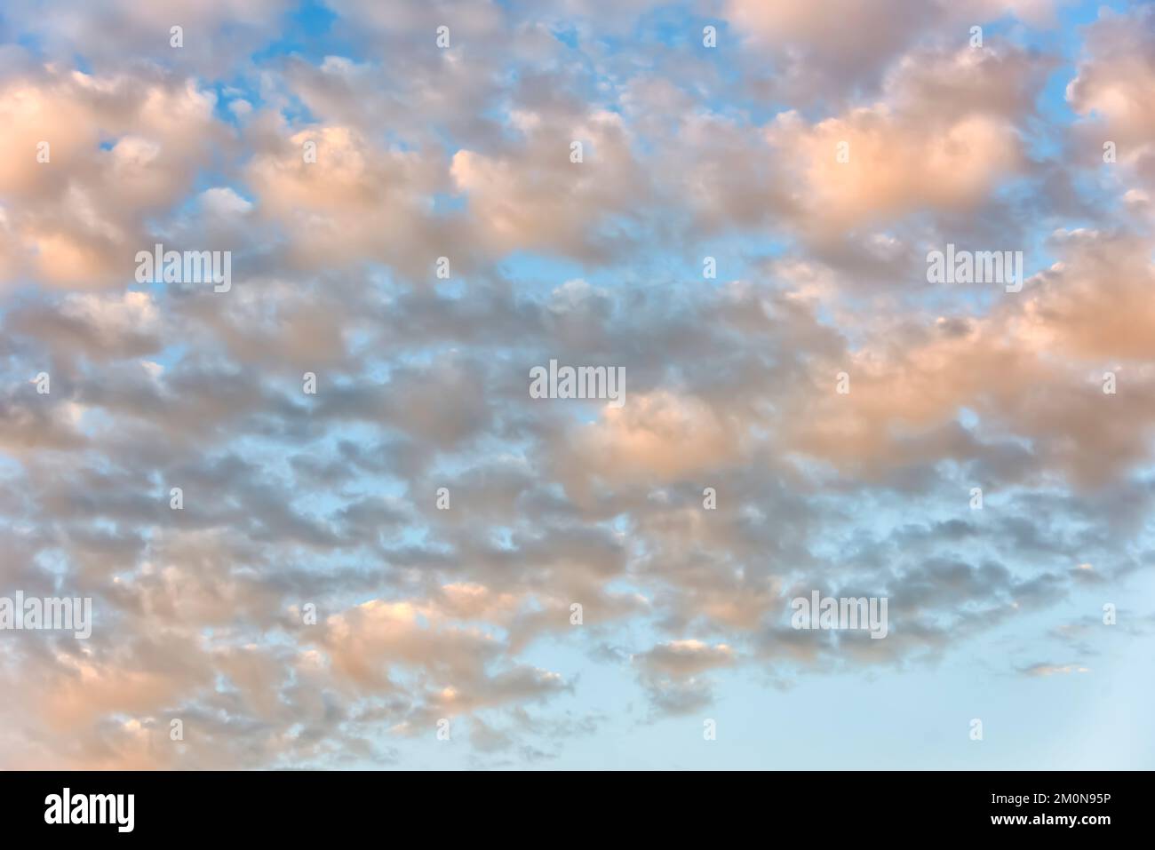 Sky and nature texture hi-res stock photography and images - Alamy