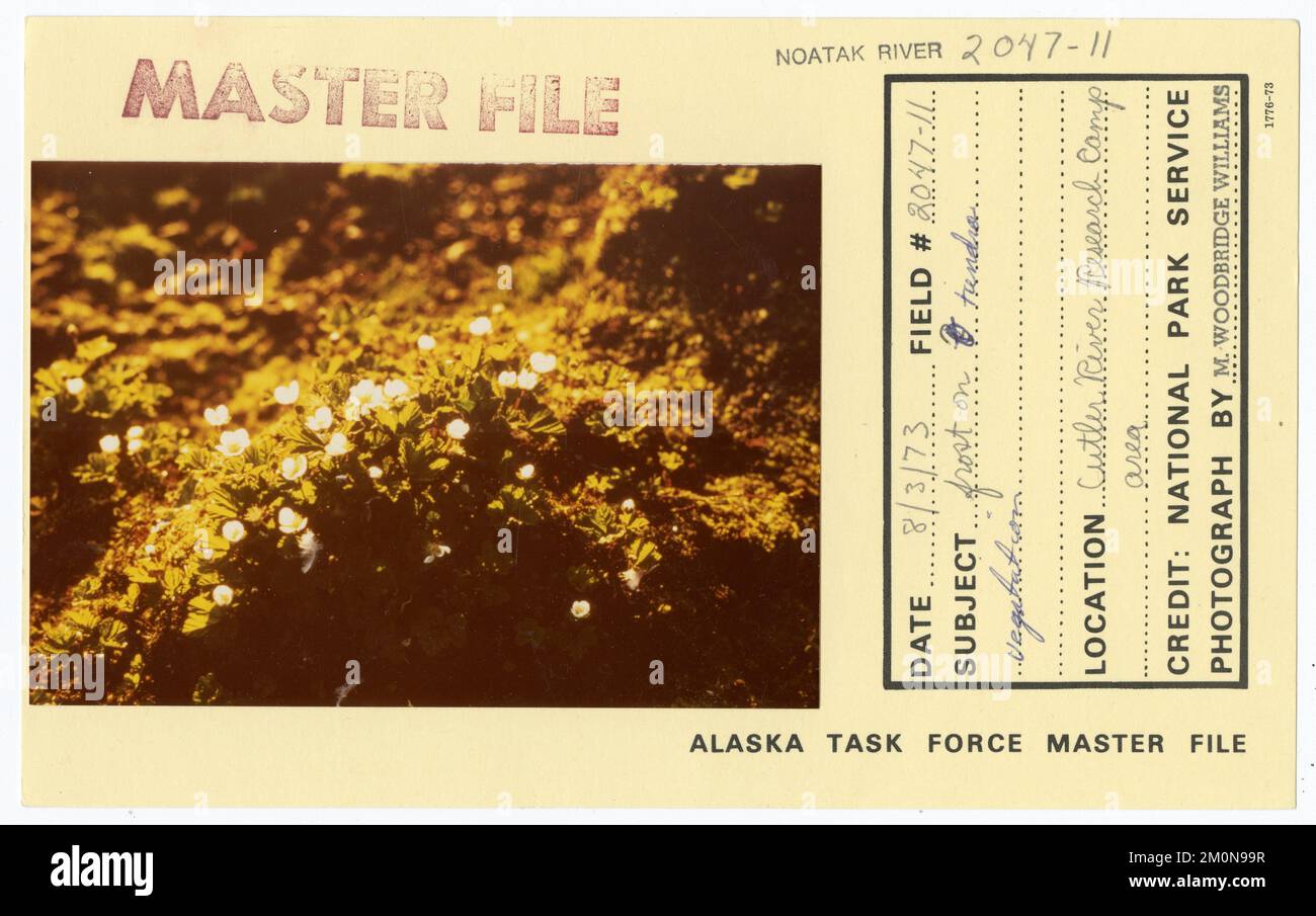 On vegetation Cut Out Stock Images & Pictures - Alamy