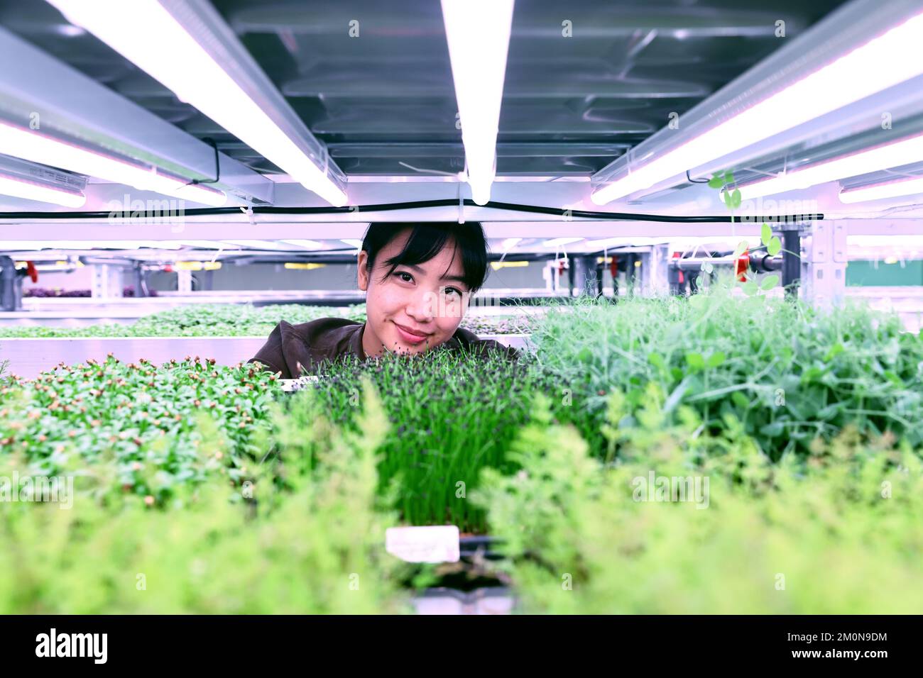 Interview of Jessica Fong, founder of Common Farms at Yau Tong. 23NOV22 ...