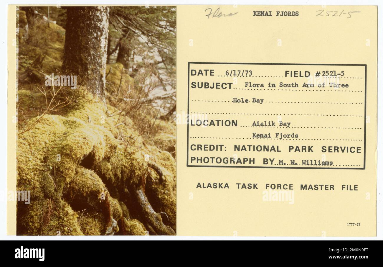 Flora in South Arm of Three Hole Bay. Alaska Task Force Photographs ...