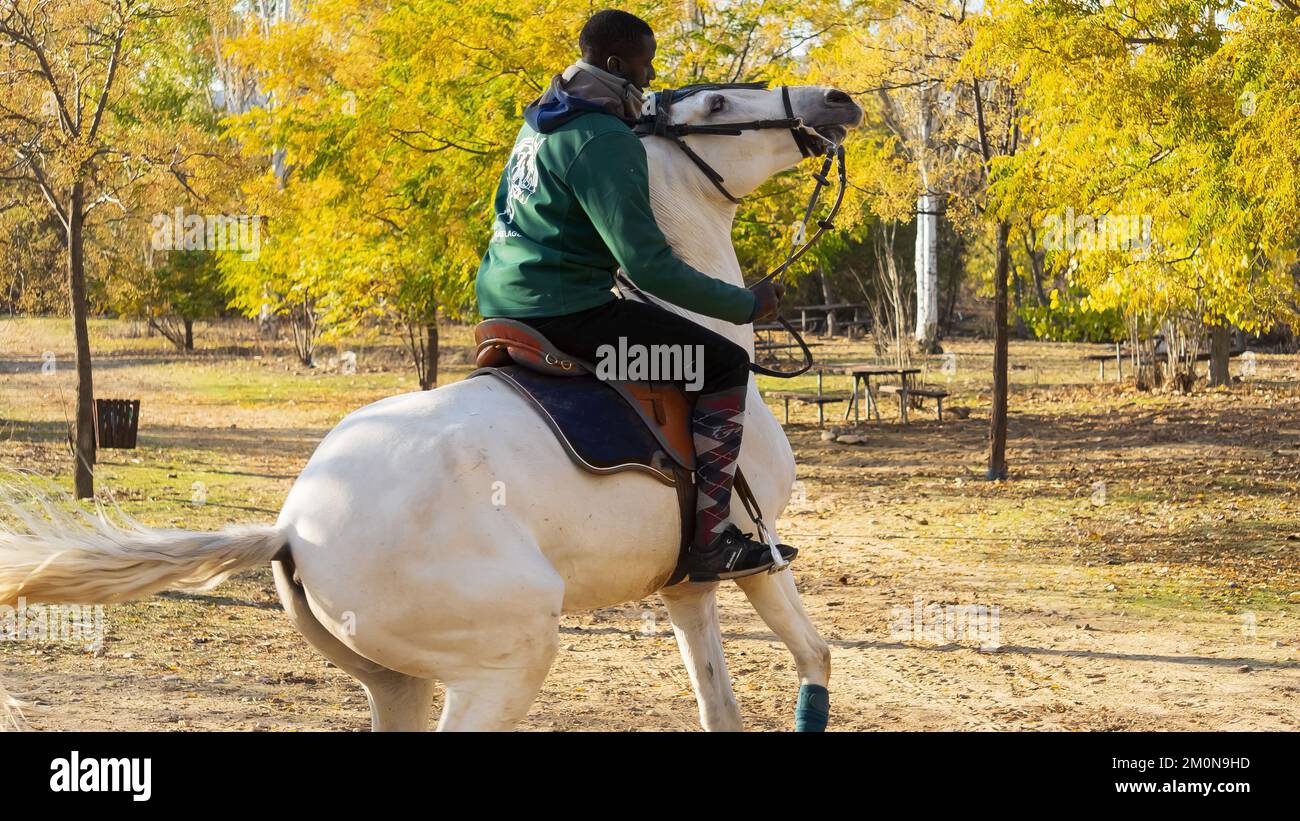 Black male riding horse hi-res stock photography and images - Alamy