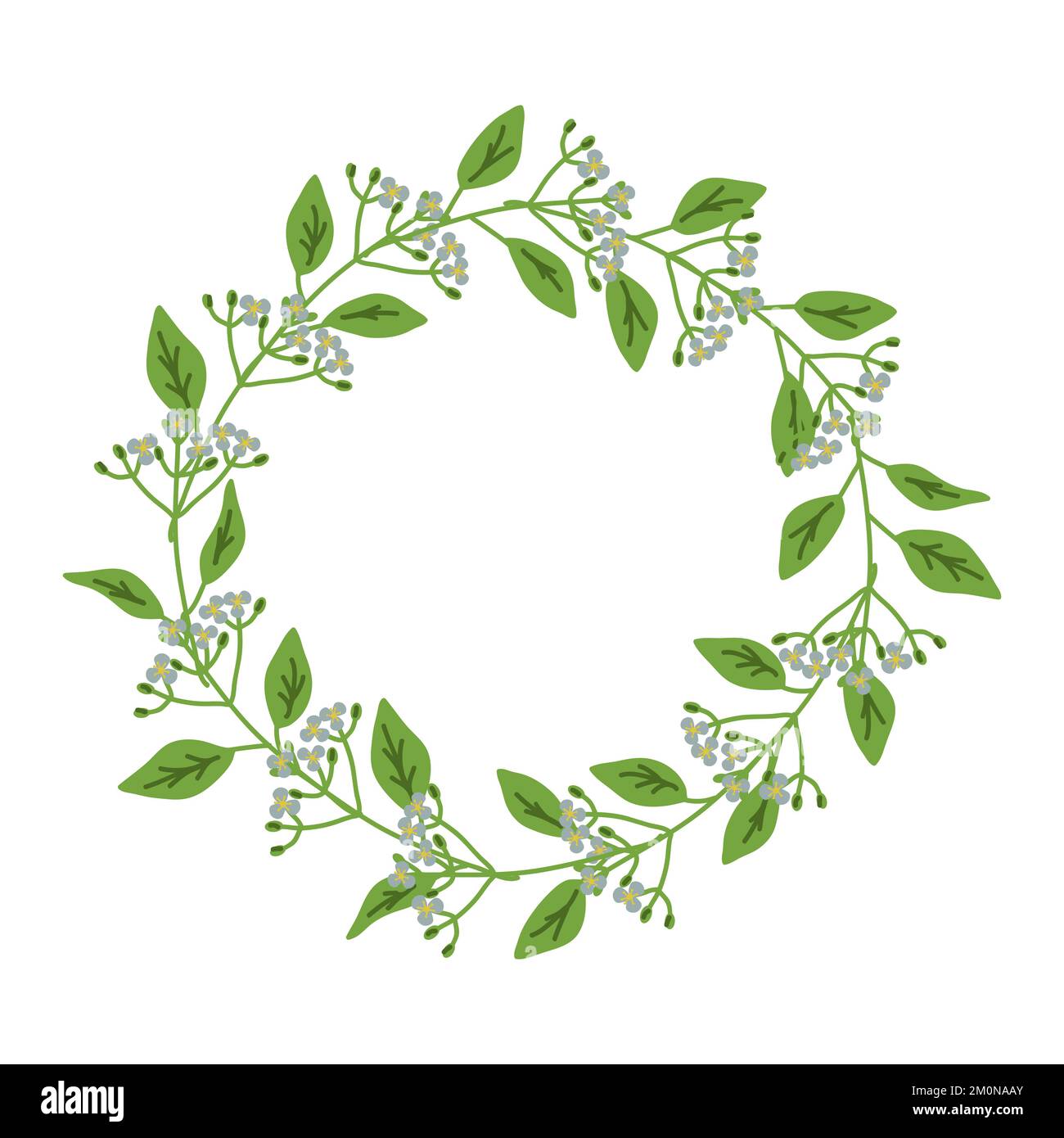 Alisma vector vectors hi-res stock photography and images - Alamy