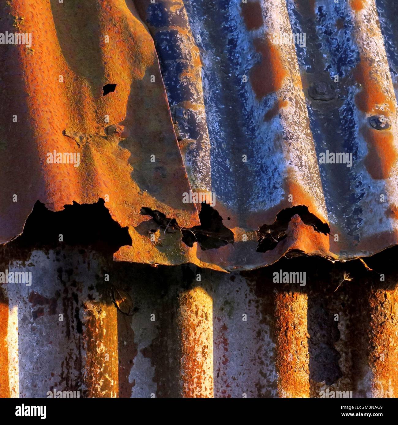 Wabi-Sabi a Japenese culture of the natures passage of time showing ...