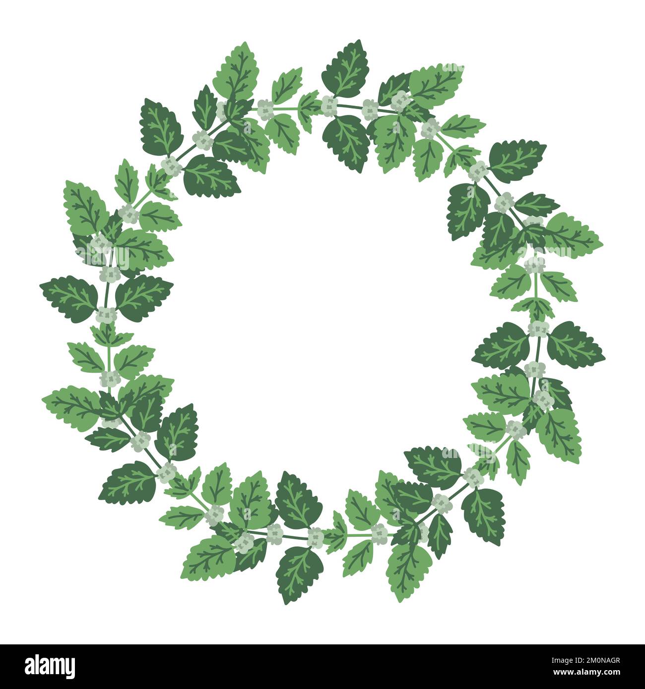 Melissa flower Stock Vector Images - Alamy