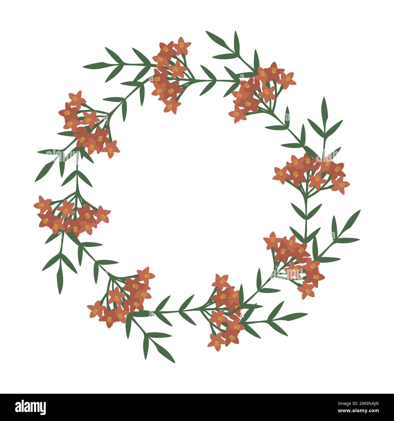 Red centaury hi-res stock photography and images - Alamy