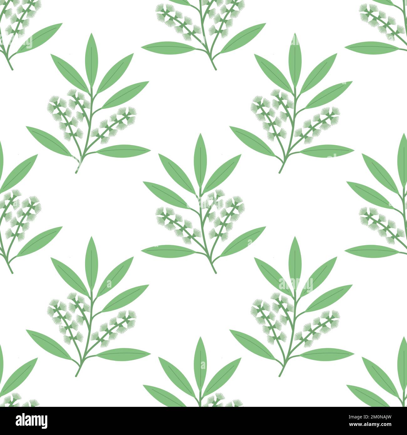 Seamless cajeput simple decorative vector pattern Stock Vector Image ...