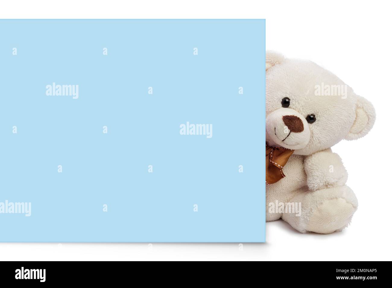 Blueteddy hi-res stock photography and images - Alamy