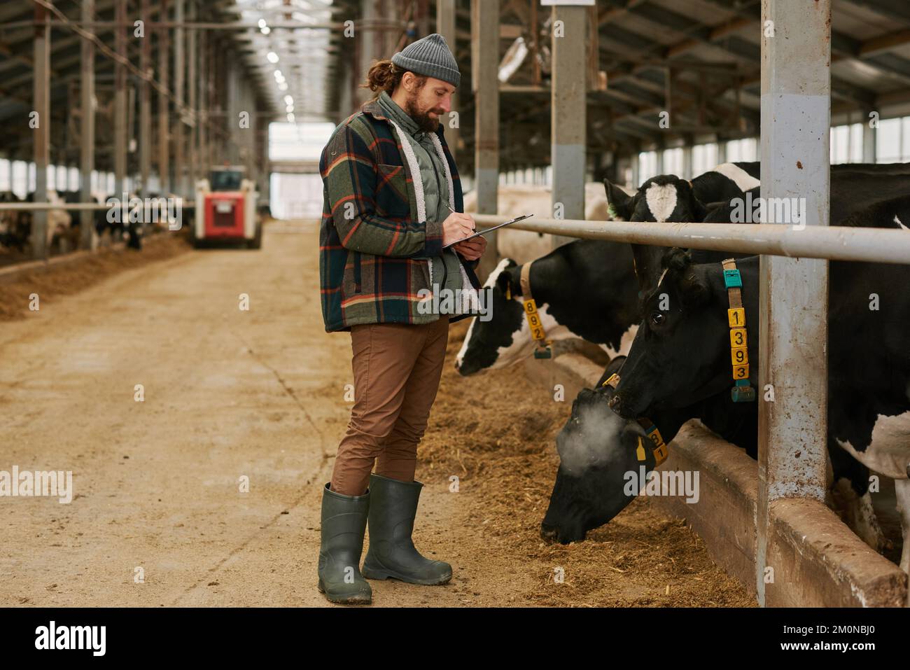 Farmer checking on his cattle hi-res stock photography and images - Alamy