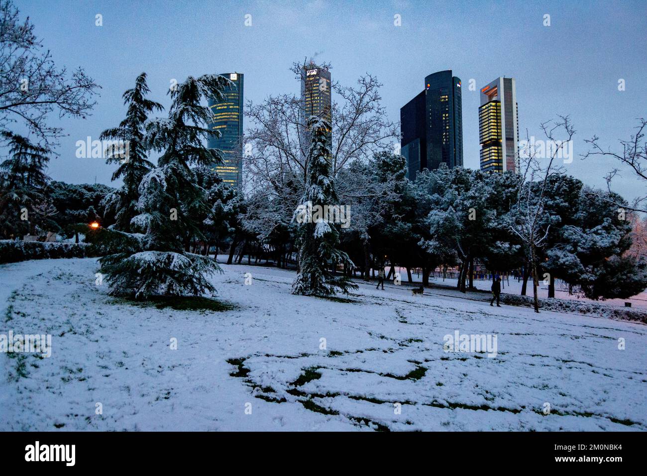 Snow. Blair. Wind. Street. Winter. Cold. Record. White cloak. Forest ...