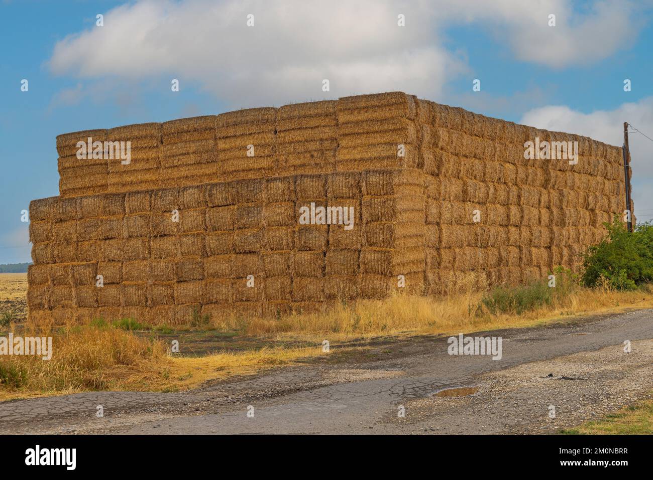 Large Stack of Conventional Bale Square Shape Traditional Farming Stock ...
