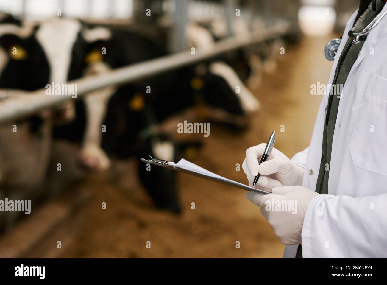 Close-up of vet doctor in uniform writing prescription in medical card ...