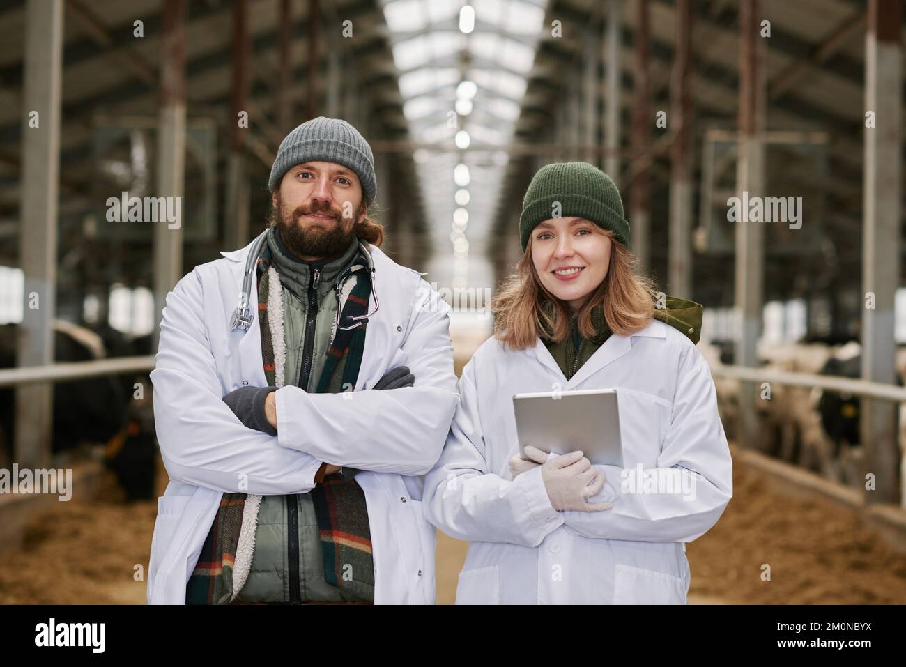 Portrait of two vet doctors smiling at camera while working in team on ...