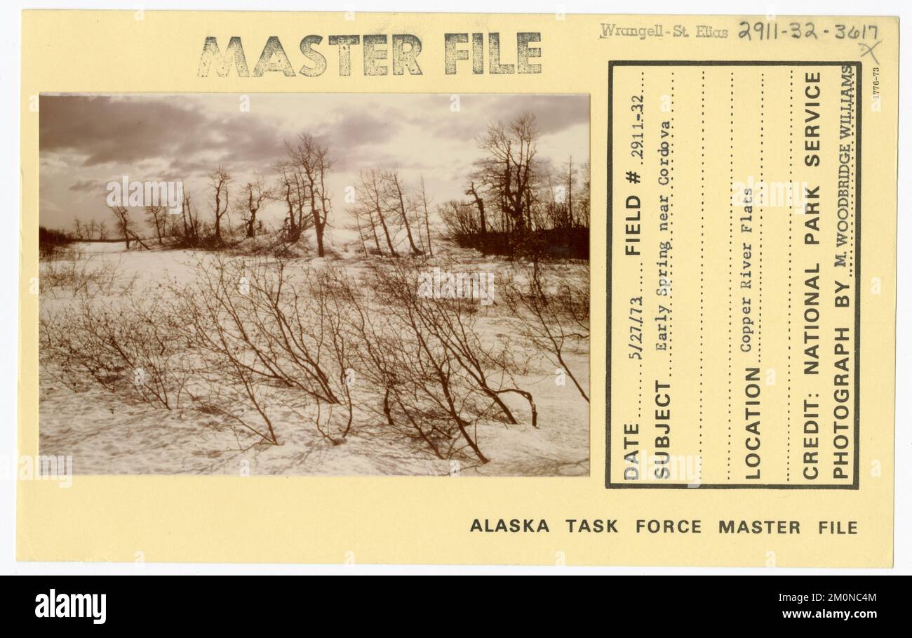 Winter to spring change Cut Out Stock Images & Pictures - Alamy