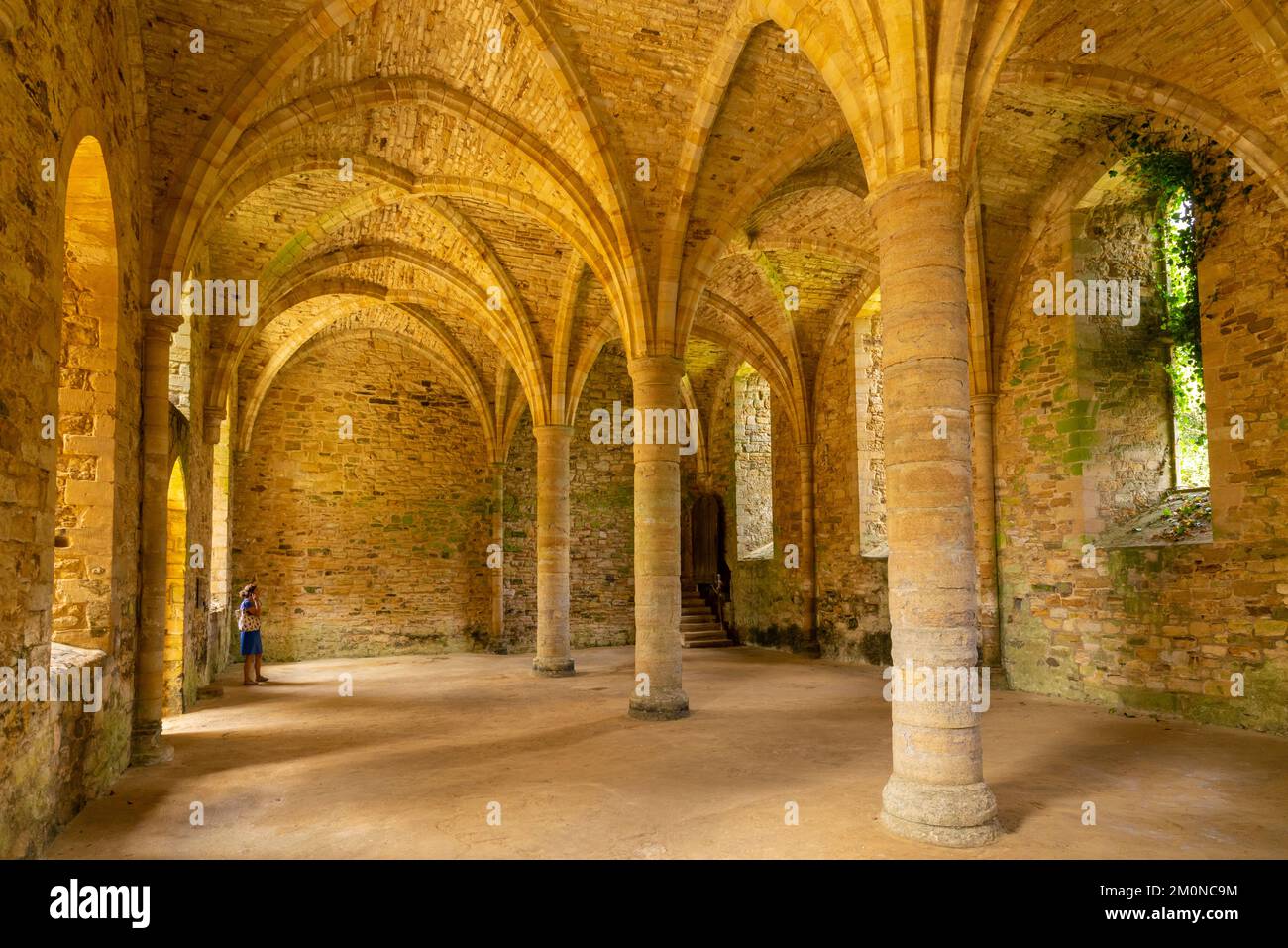 Battle East Sussex pillars of the 13th Century vaulted Novices Chamber ...