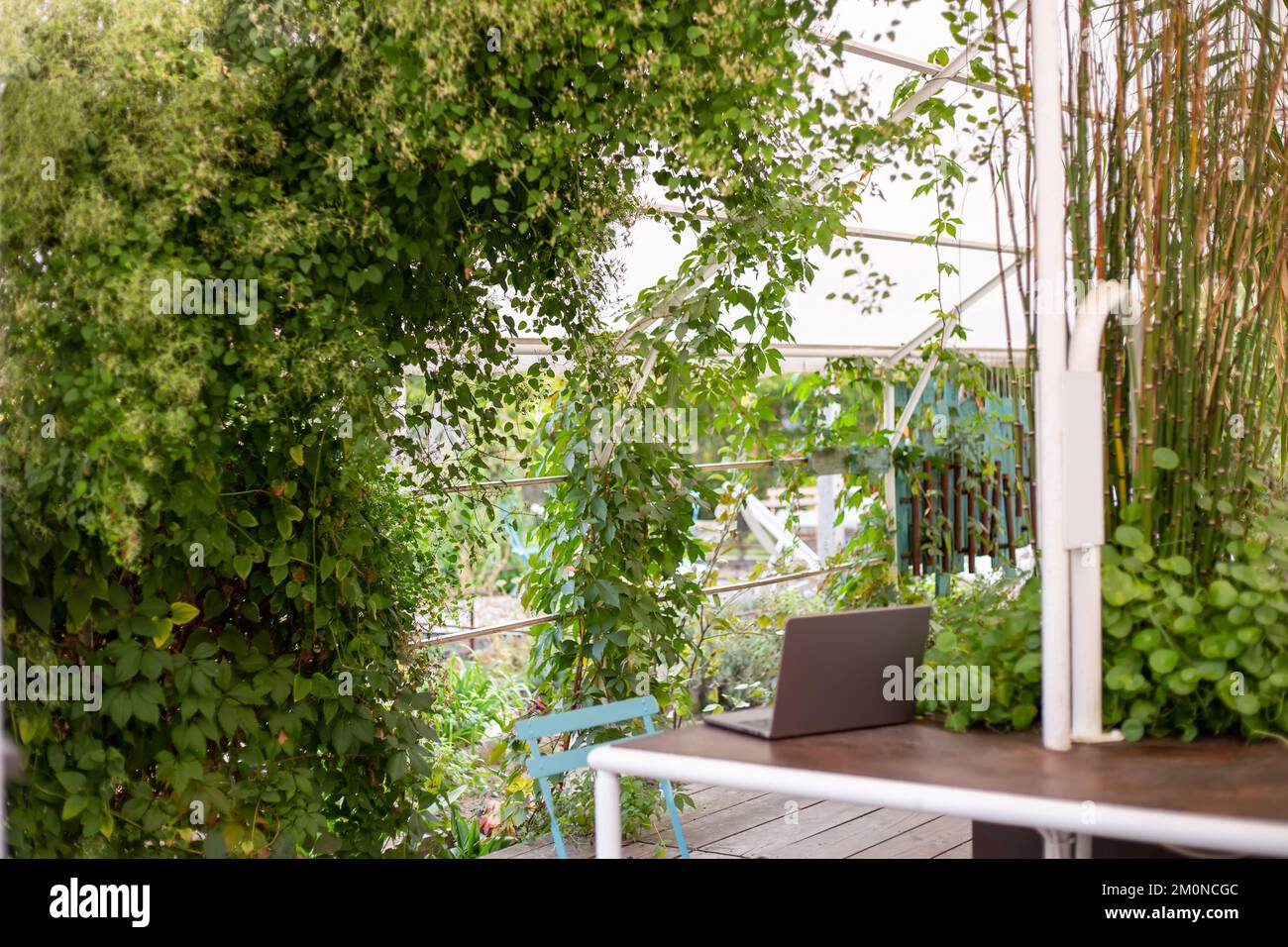 Work study hi-res stock photography and images - Alamy