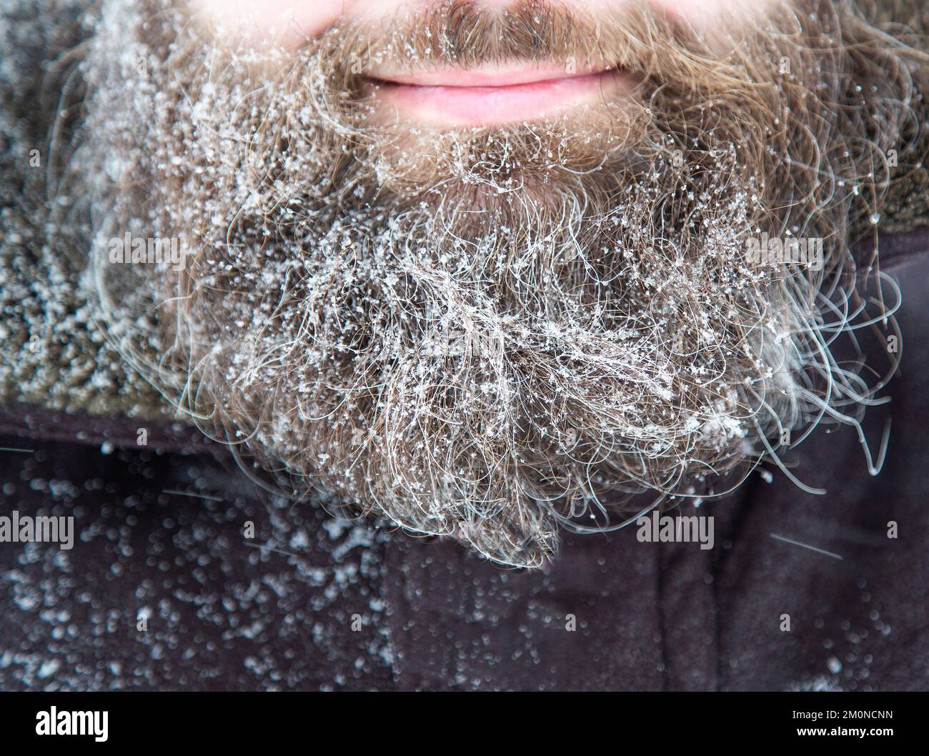 A man's beard covered with snow. The face of a joyful, bearded man. The ...