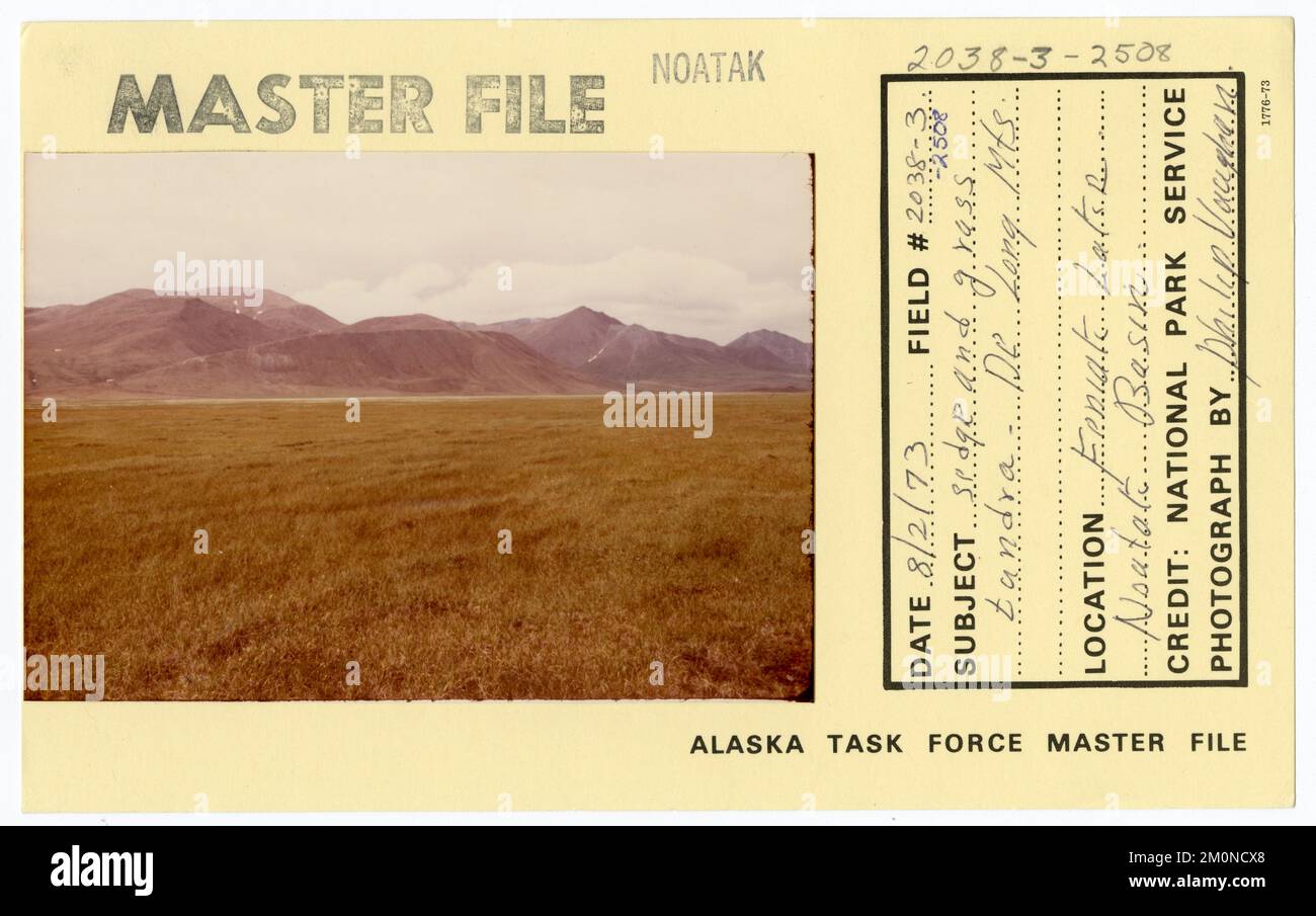Sedge and grass tundra - DeLong Mountains. Alaska Task Force ...