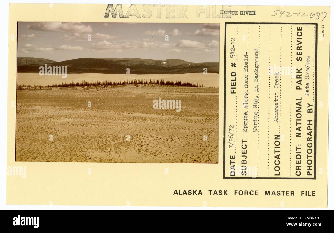 Spruce along dune field-Waring Mountains in background. Alaska Task ...