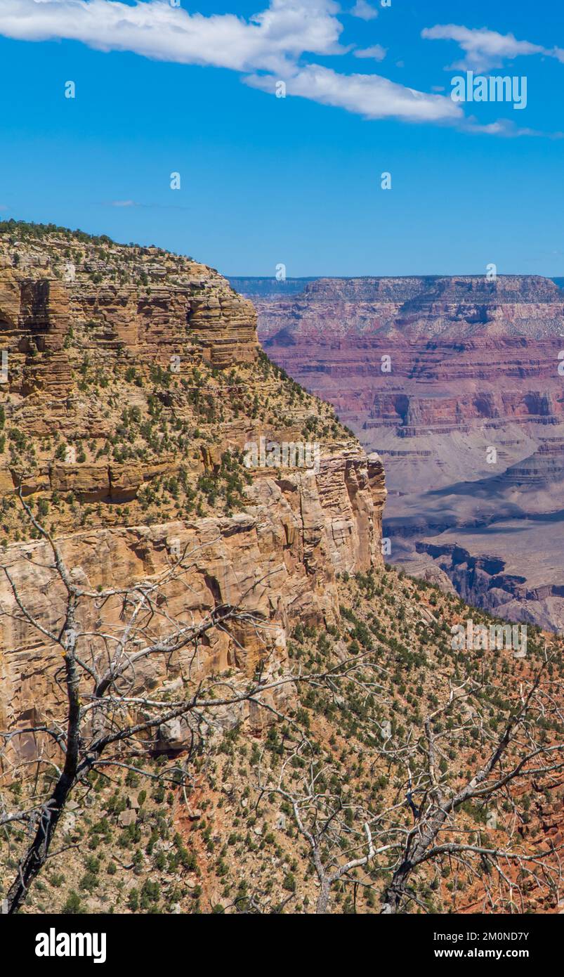 A scenic view of the Grand Canyon National Park from South Rim Trail ...