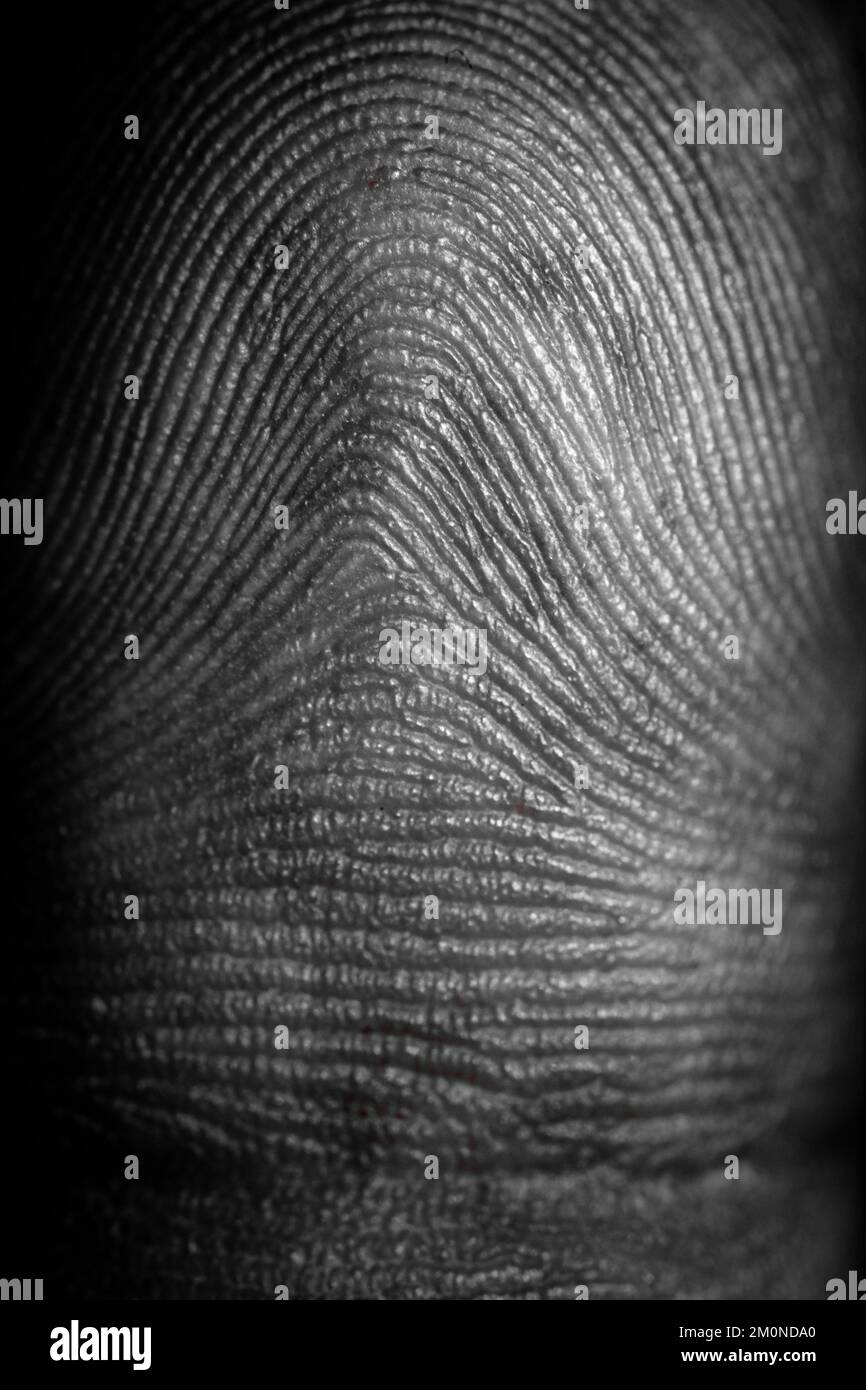 The grayscale vertical shot of an index fingerprint creates a patterned ...