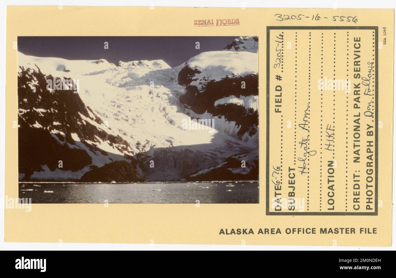 Wildlife watching seals Cut Out Stock Images & Pictures - Alamy