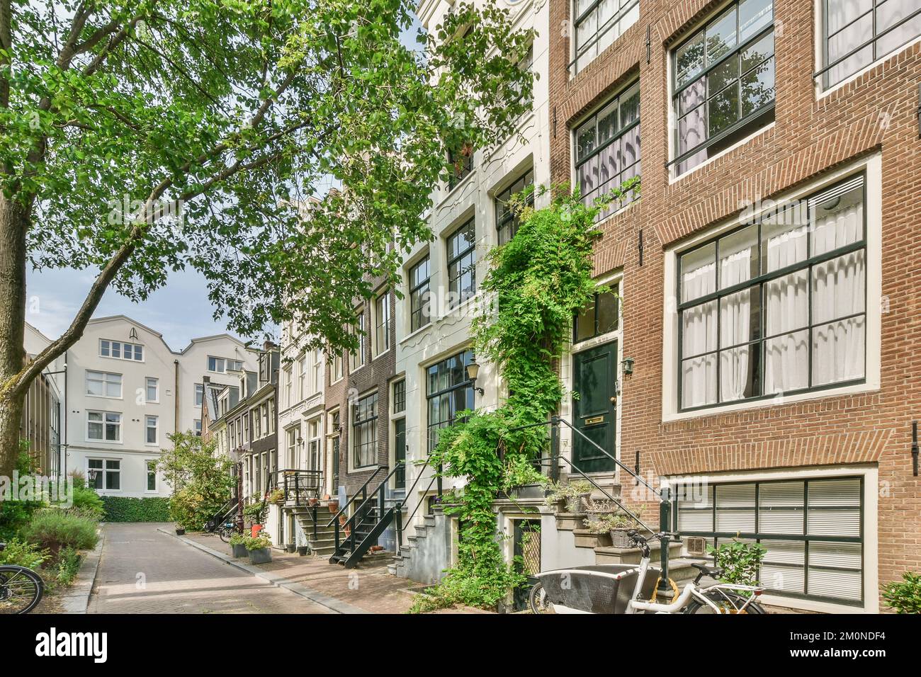 View of street near building with beauty of vegetation outside Stock ...