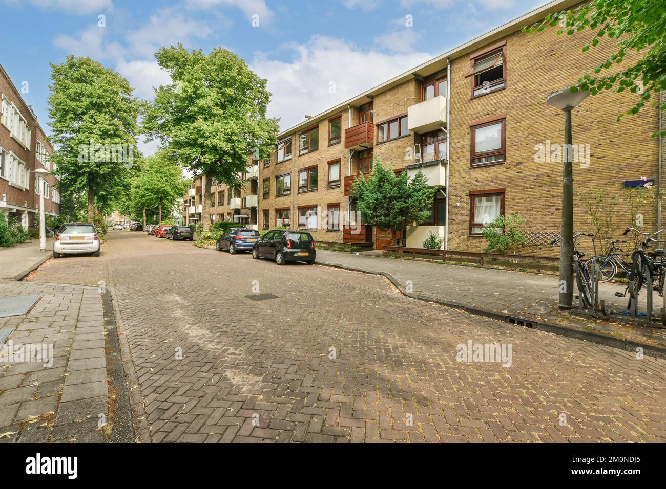 View of street near building with beauty of vegetation outside Stock ...