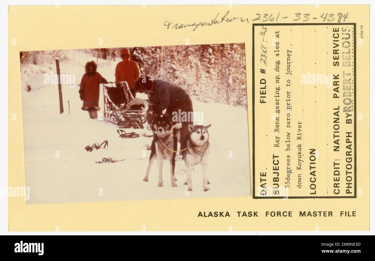 Ray Bane gearing up dog sled at 55 degrees below zero prior to journey ... Ray Bane gearing up dog sled at 55 degrees below zero prior to journey ...