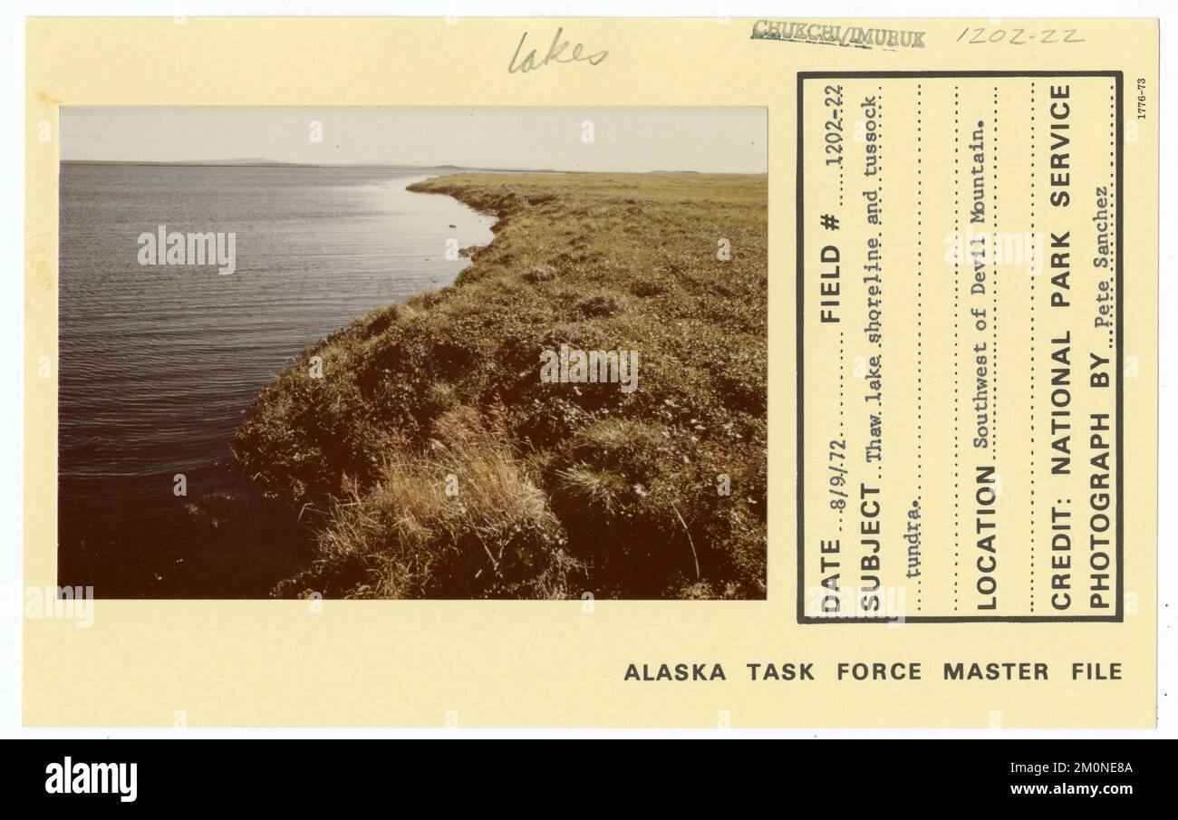 Thaw lake shoreline and tussock tundra. Alaska Task Force Photographs ...