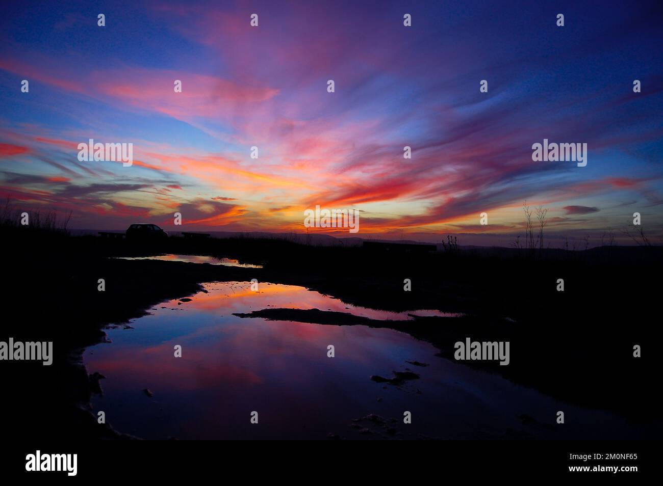 Purple-red sunset reflected in a puddle of water Stock Photo - Alamy