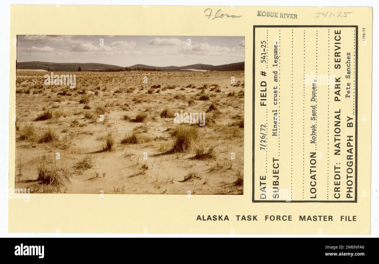 Mineral crust and legume. Alaska Task Force Photographs Stock Photo - Alamy
