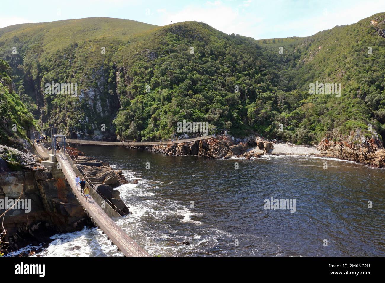 suspension bridge over storm river, tsitsikamma national park in south ...