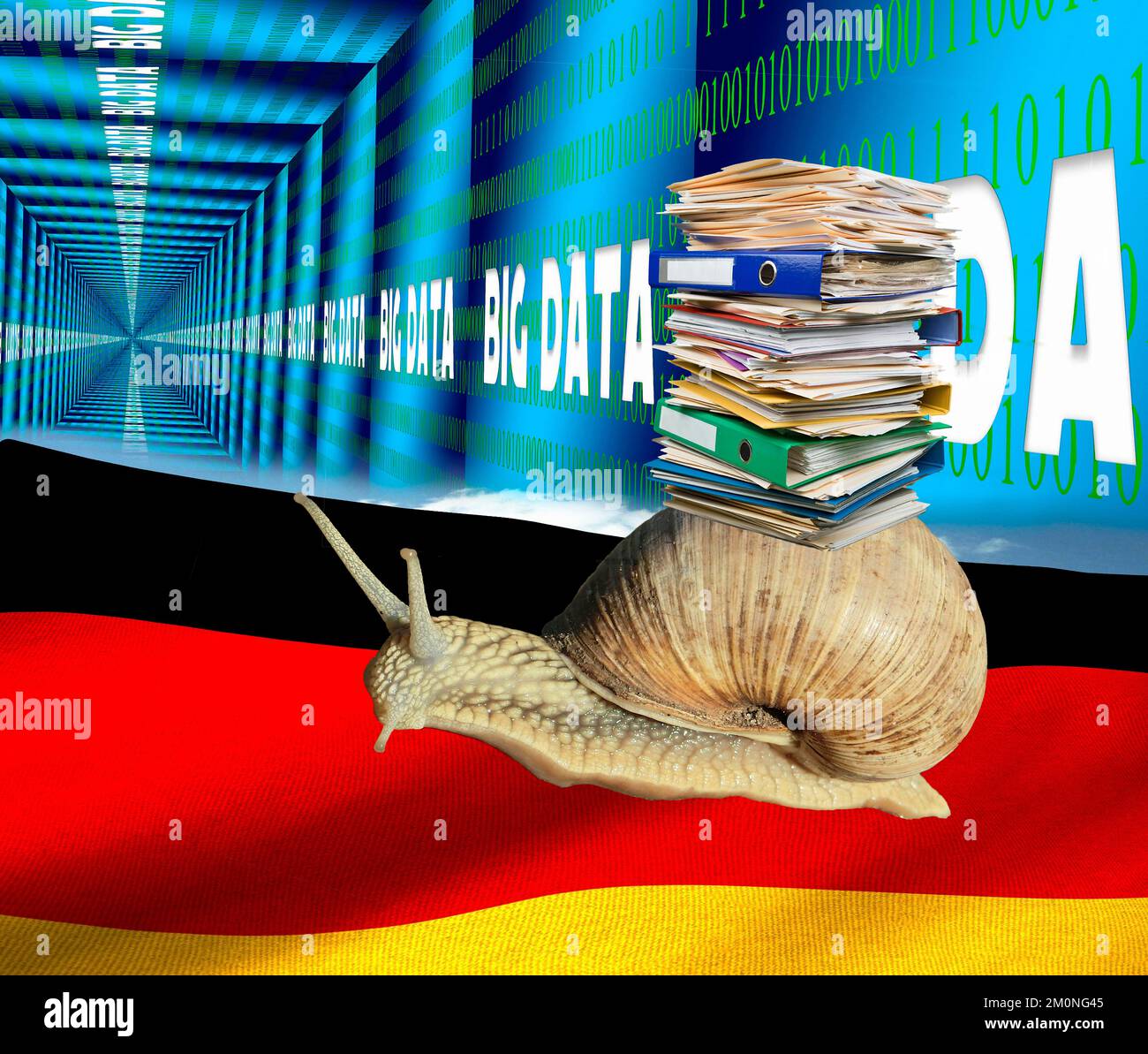 Bureaucracy snail, slow road, digitisation of administration, outdated ...