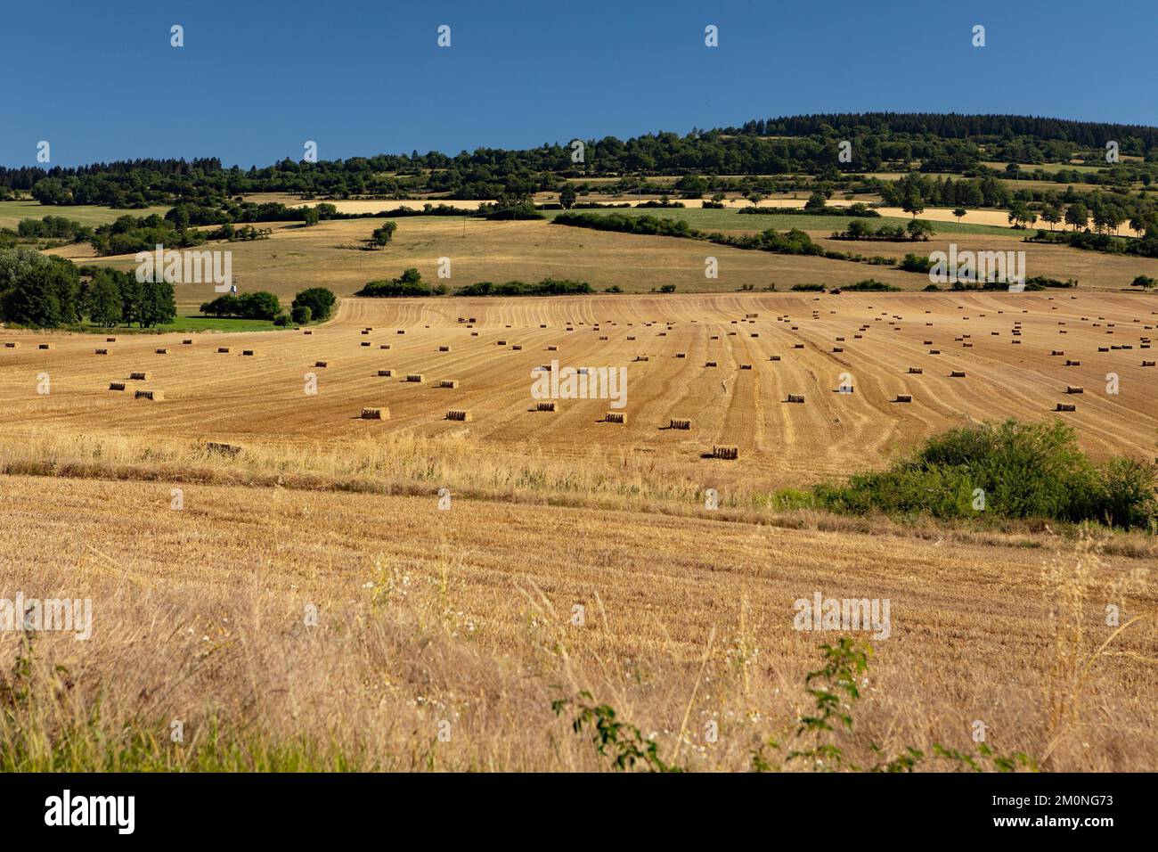 Wallenberg landscape shot with fields, hay bales and forests against ...