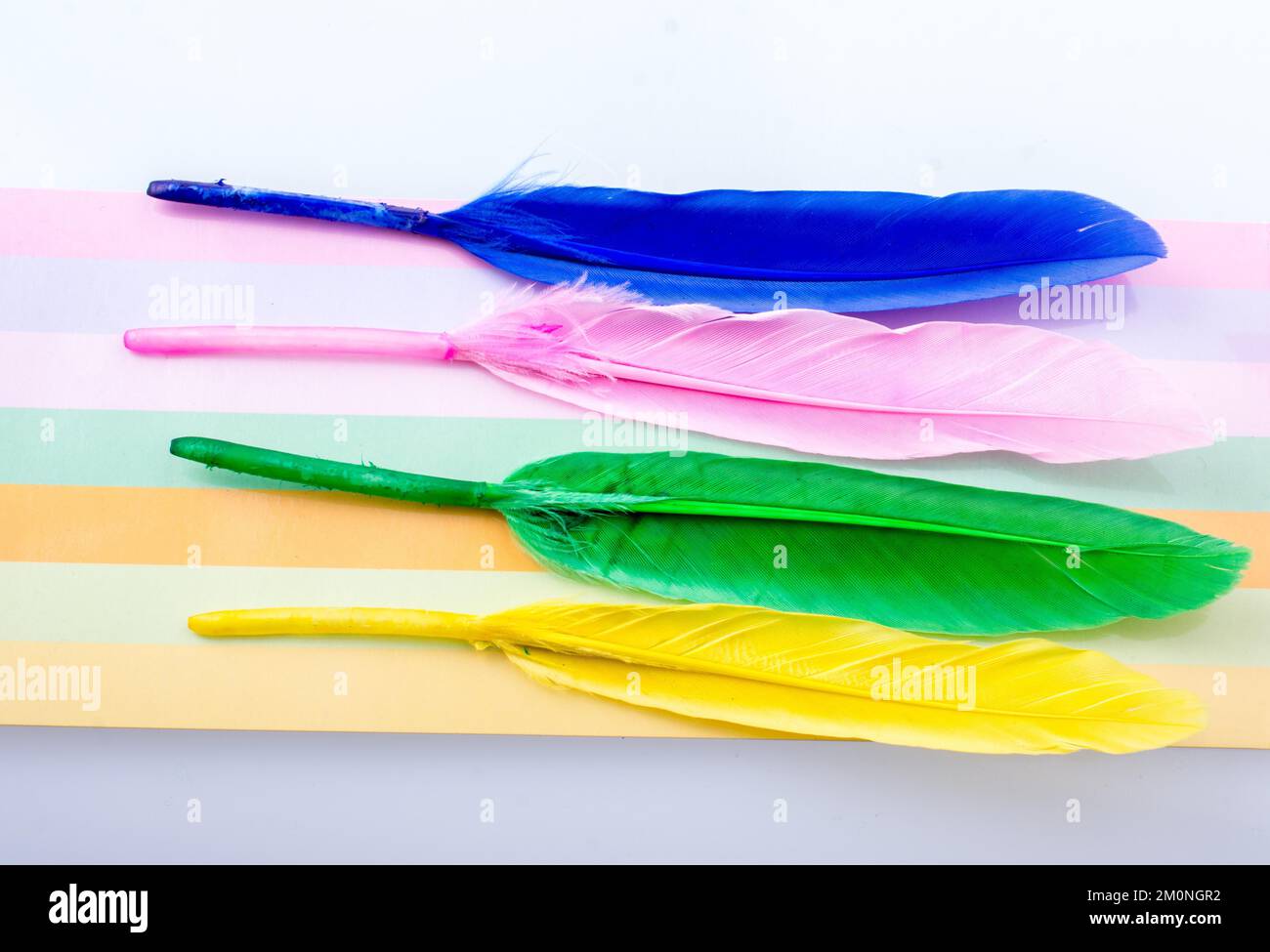 Collection of bright colored feathers on a colorful background Stock ...