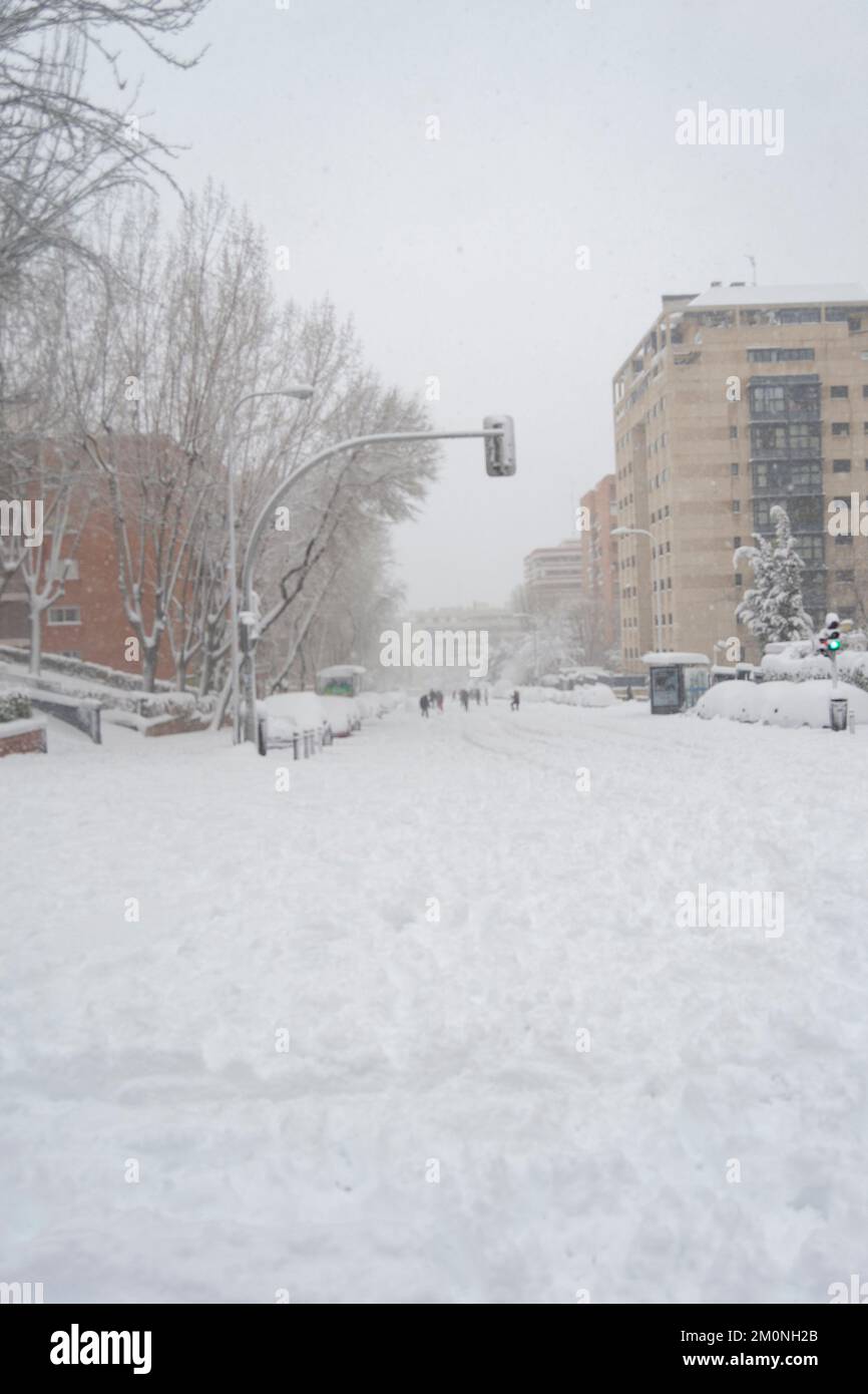 Snow. Blair. Wind. Street. Winter. Cold. Record. White cloak. Forest ...