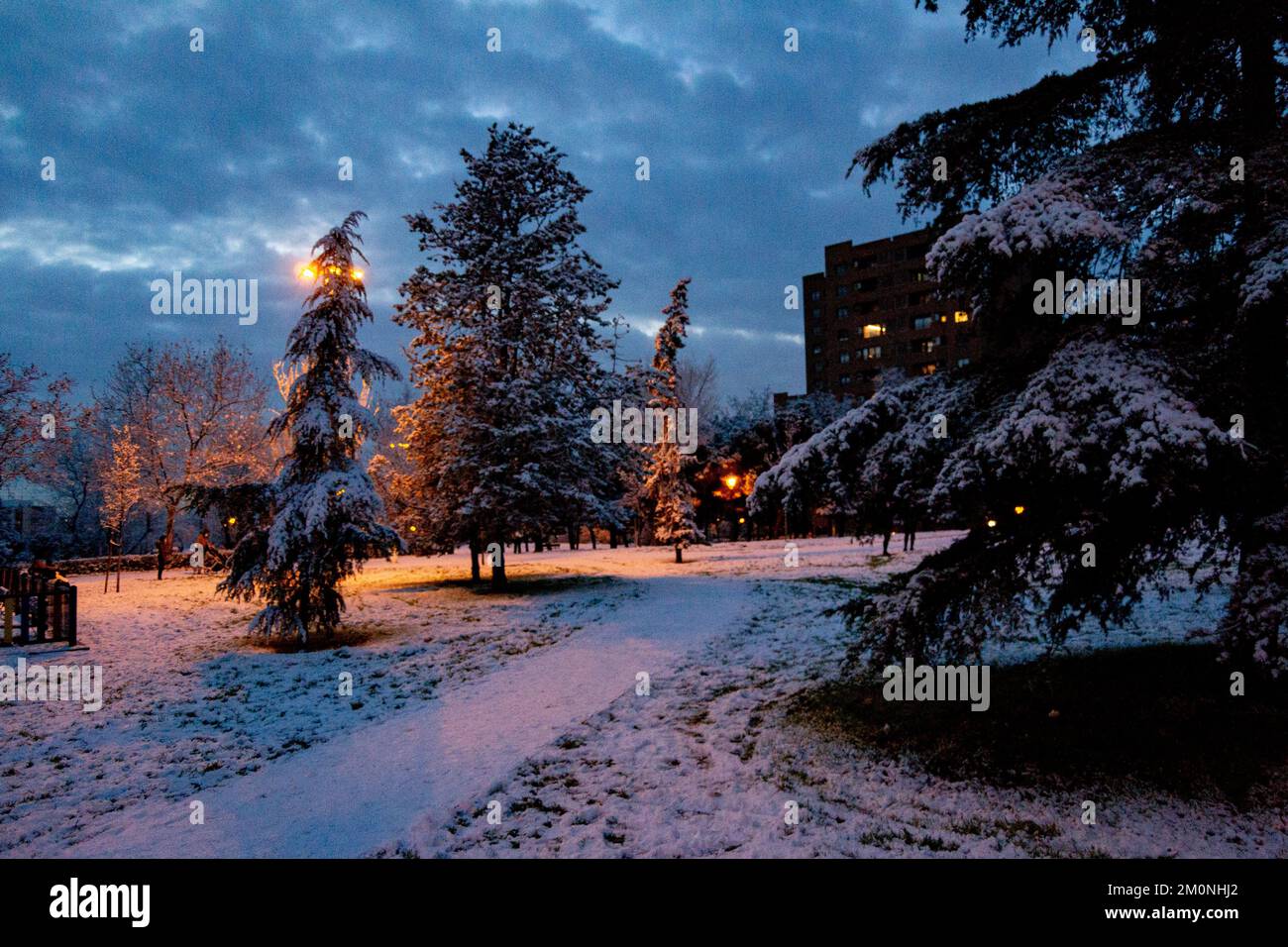 Snow. Blair. Wind. Street. Winter. Cold. Record. White cloak. Forest ...