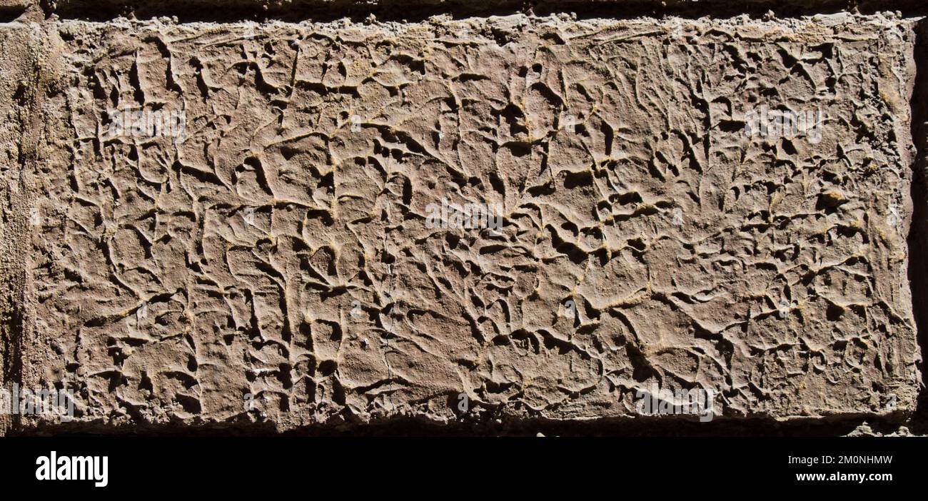 Wall surface as a simple background texture pattern Stock Photo - Alamy