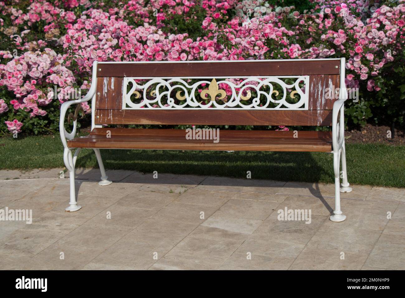 Wooden bench found in the middle of rose garden Stock Photo - Alamy