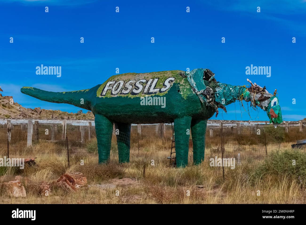 Rock shop route 66 dinosaur hi-res stock photography and images - Alamy