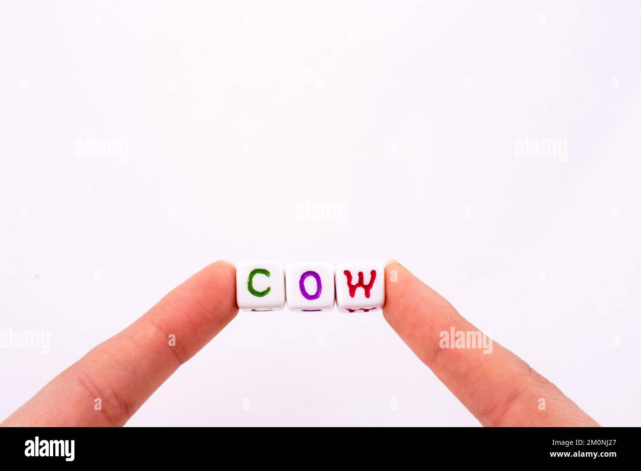 Fingers hold colorful cubic letters of alphabet form the word ''cow ...